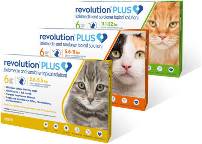 Feline Revolution Plus - West Stanly Animal Clinic